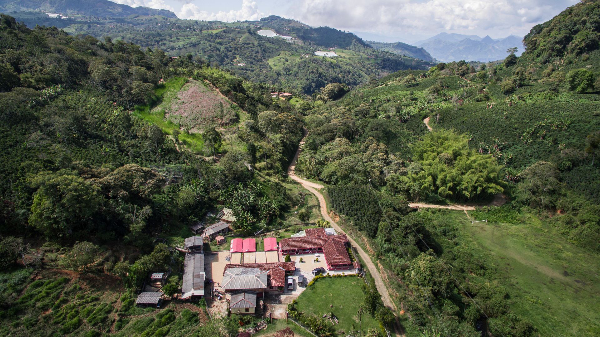 Te contamos qué ver en la Ruta del Café de Colombia